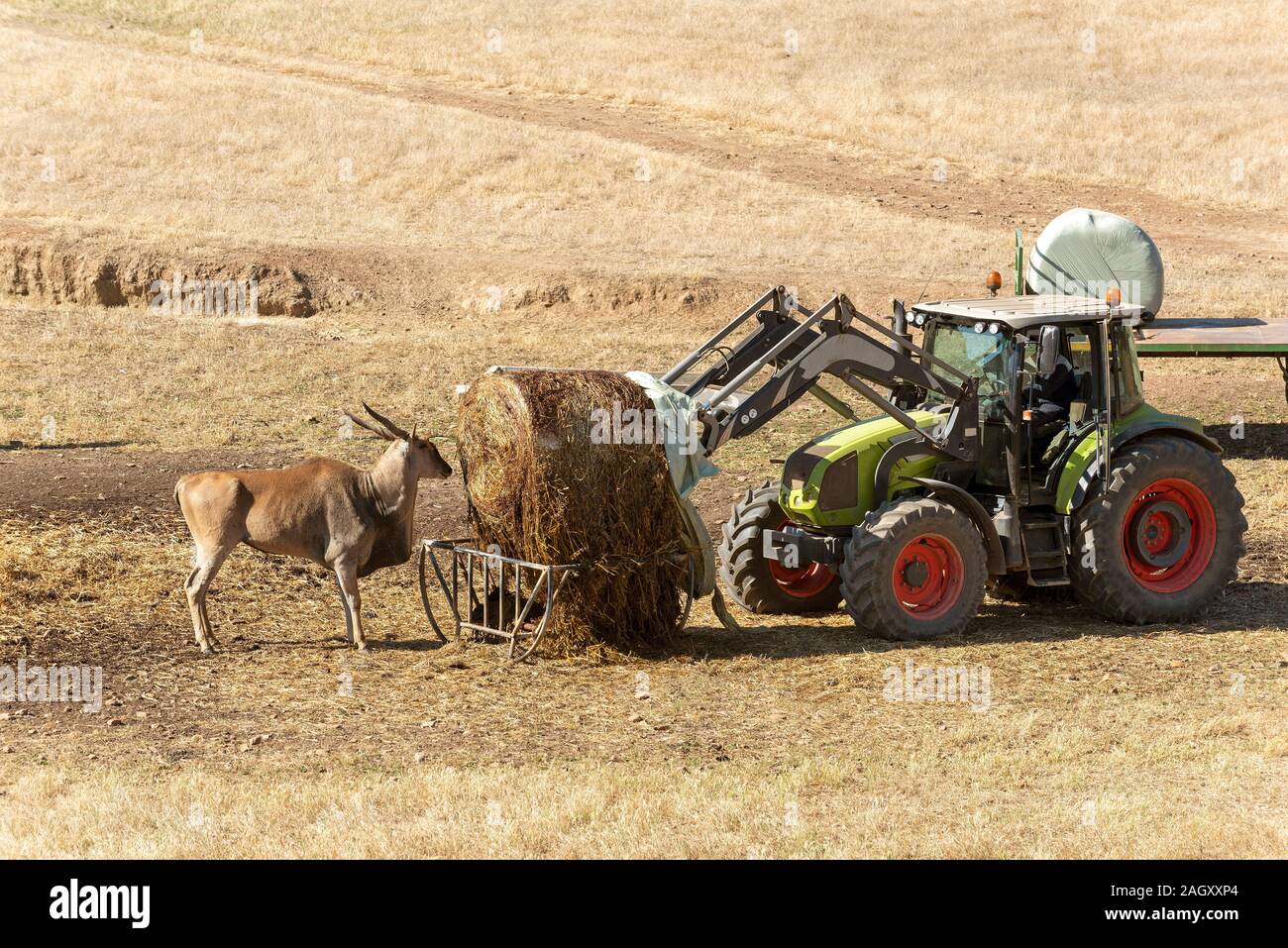 African farming tractor hi-res stock photography and images - Alamy