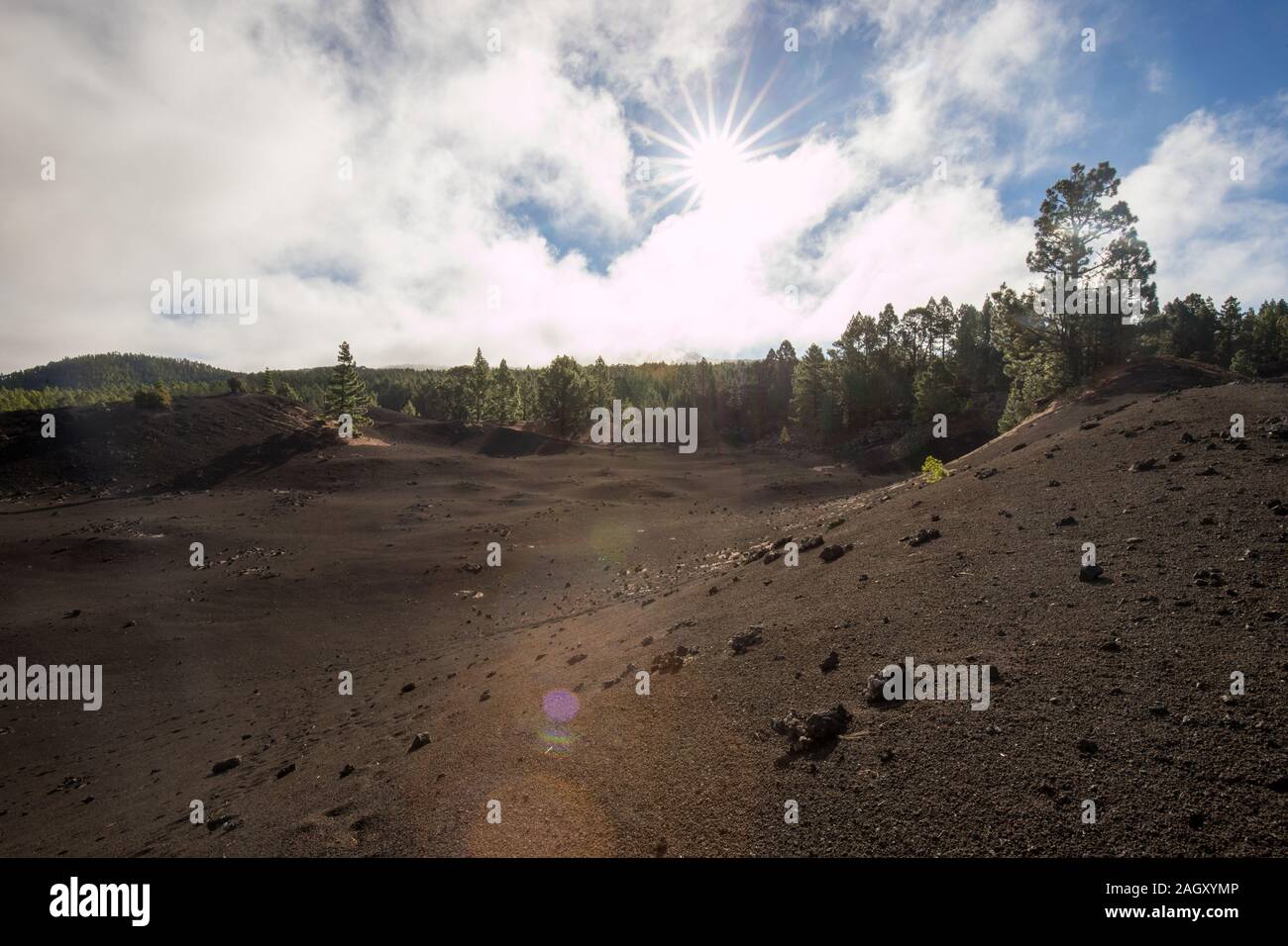 Black volcano fields. Chinyero, Tenerife island Stock Photo - Alamy