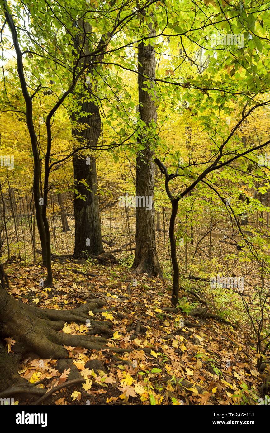 Northern indiana hi-res stock photography and images - Alamy