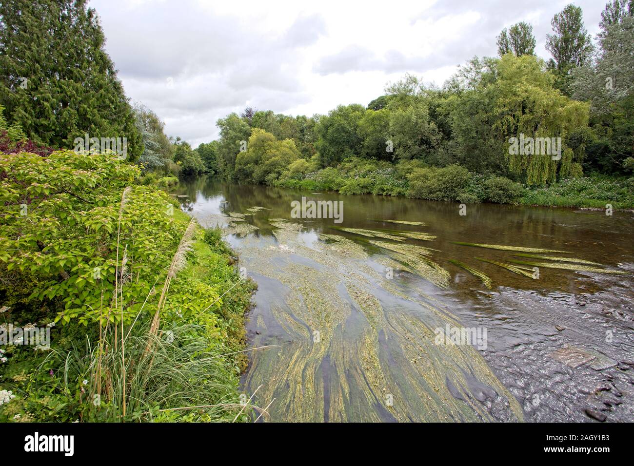 The River Exe at Bickleigh, Devon, England, UK. (HDR Stock Photo - Alamy