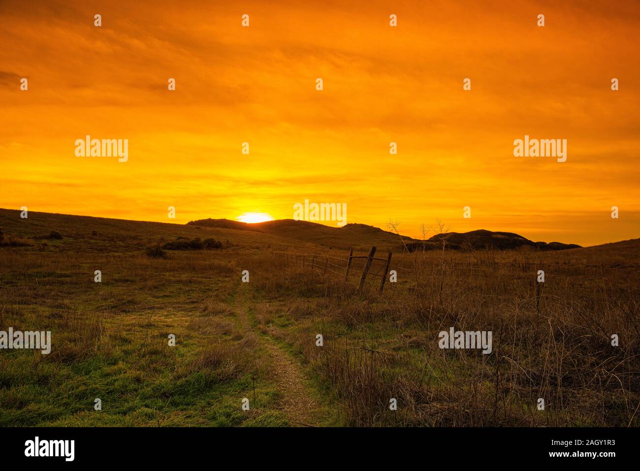 Rj styles hi-res stock photography and images - Alamy