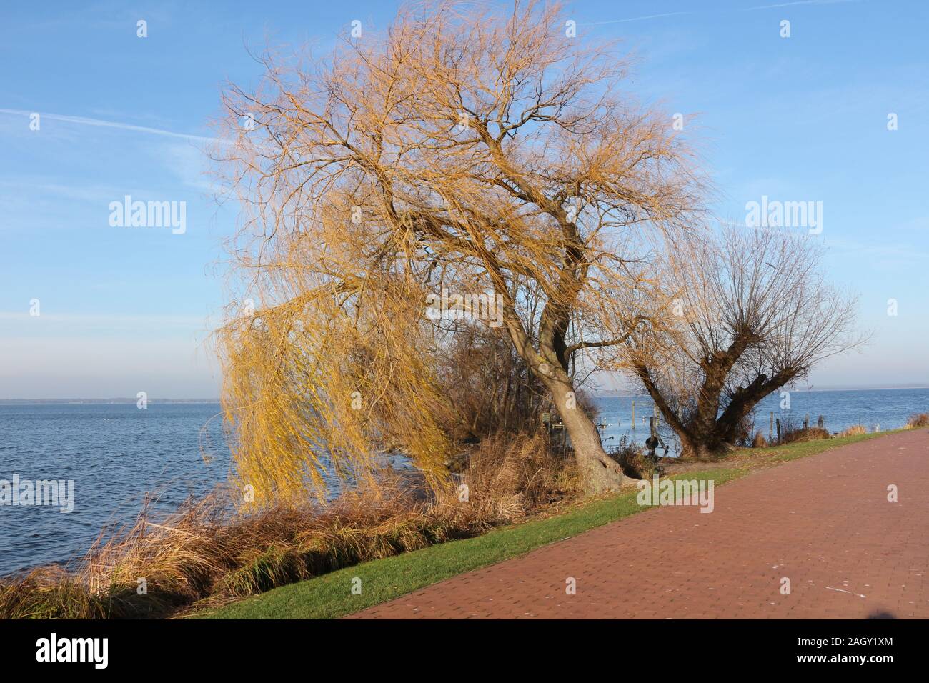Promenade at the steinhuder meer hi-res stock photography and images ...