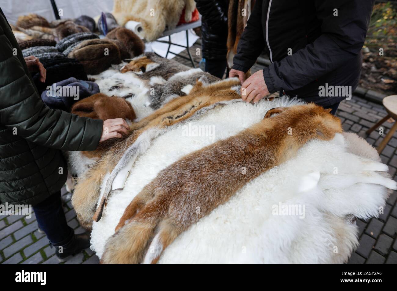 Skinned animal hi-res stock photography and images - Alamy
