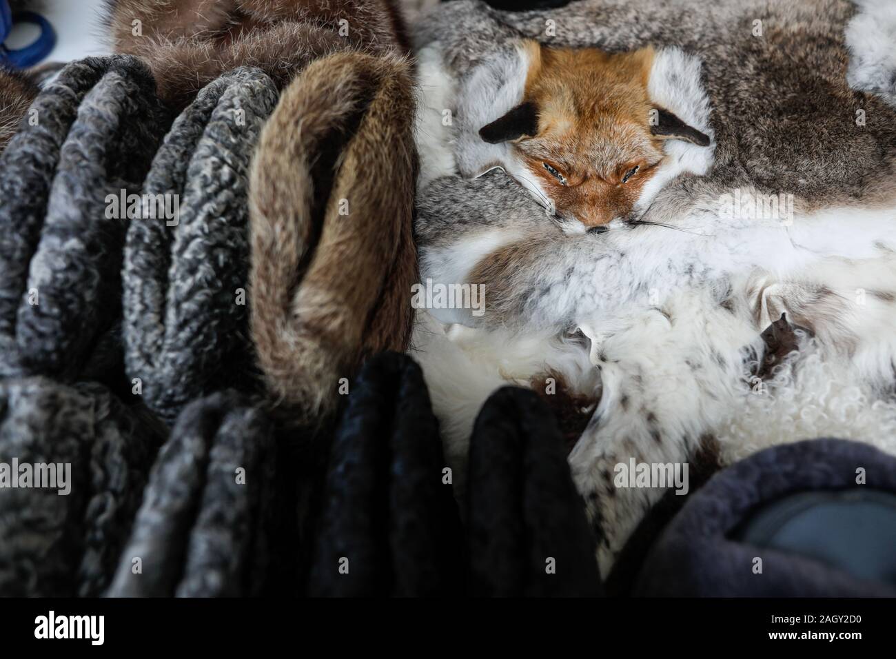 Skinned animal hi-res stock photography and images - Alamy