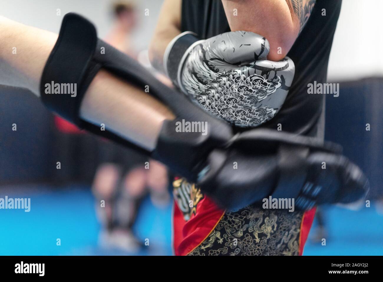 Mma trainer hi-res stock photography and images - Alamy