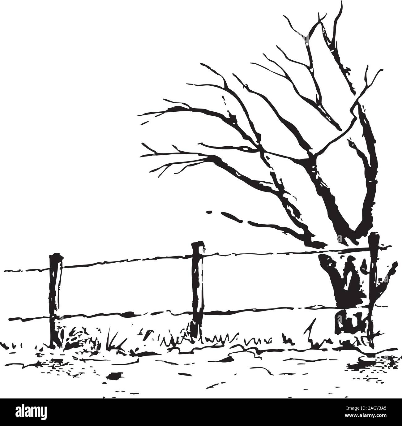 Sketched Tree Vector Clipart