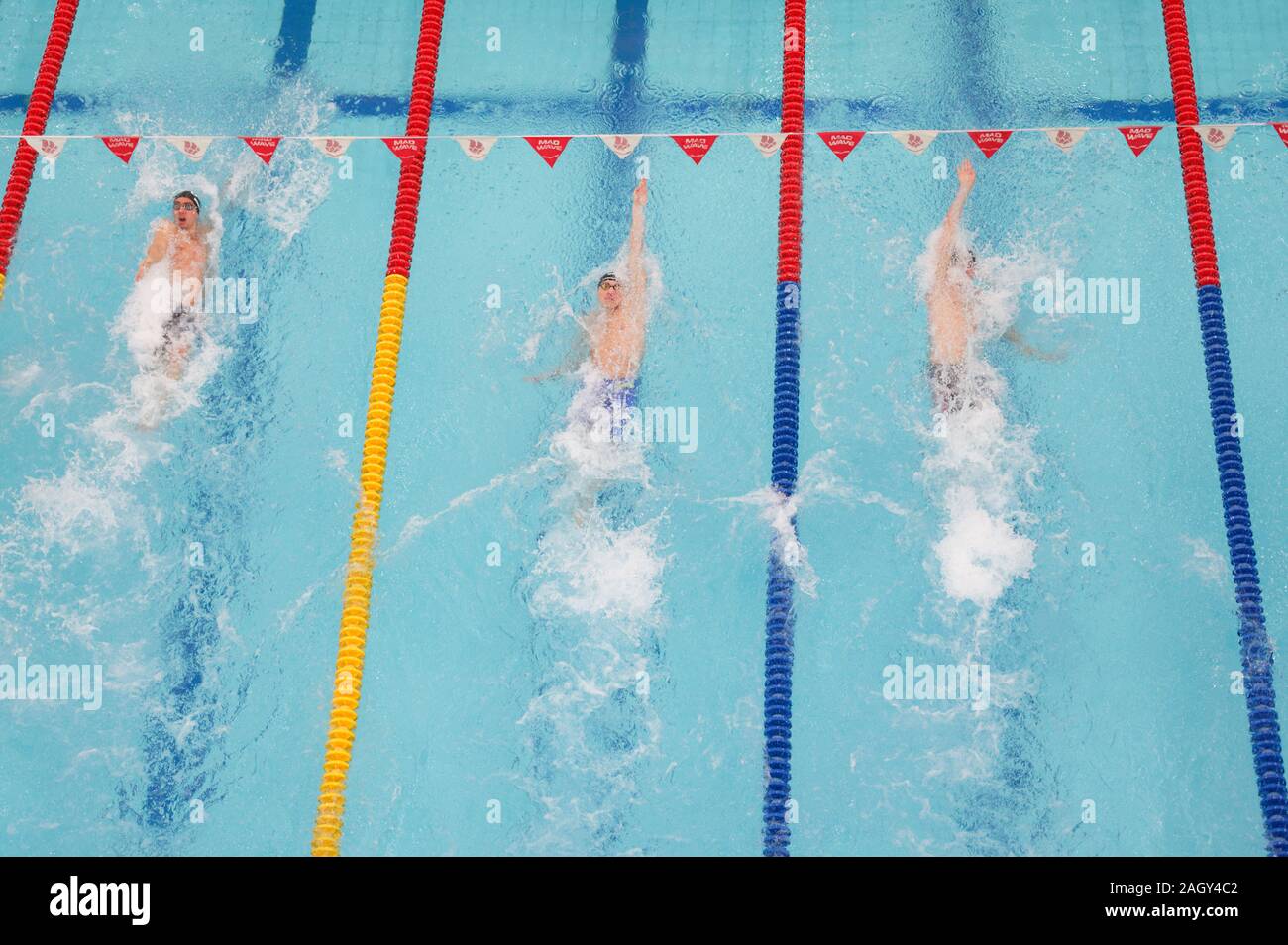 St. Petersburg, Russia - December 20, 2019: Top view of 100m backstroke ...