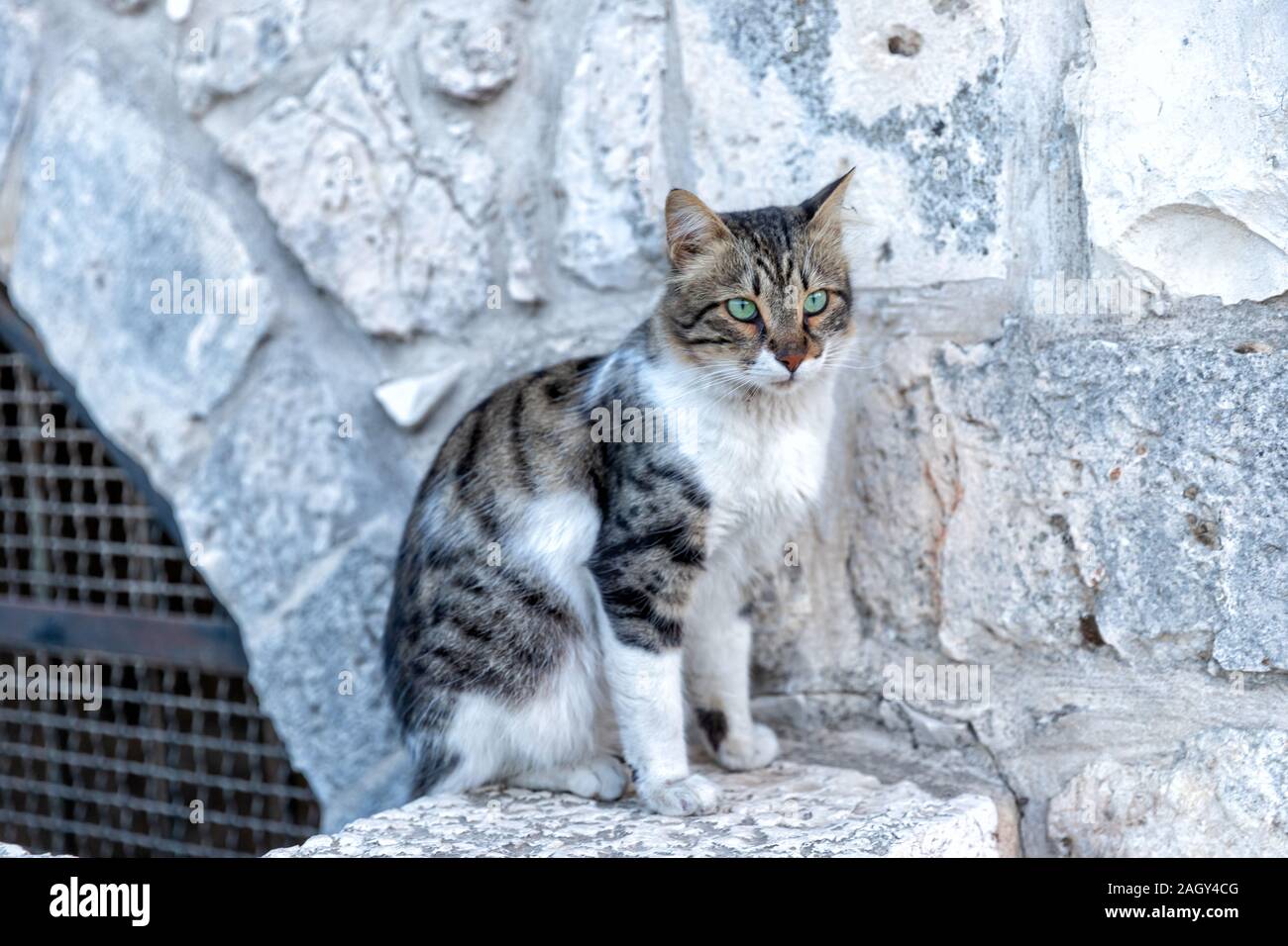 Jerusalem israel sleeping in street hi-res stock photography and images ...