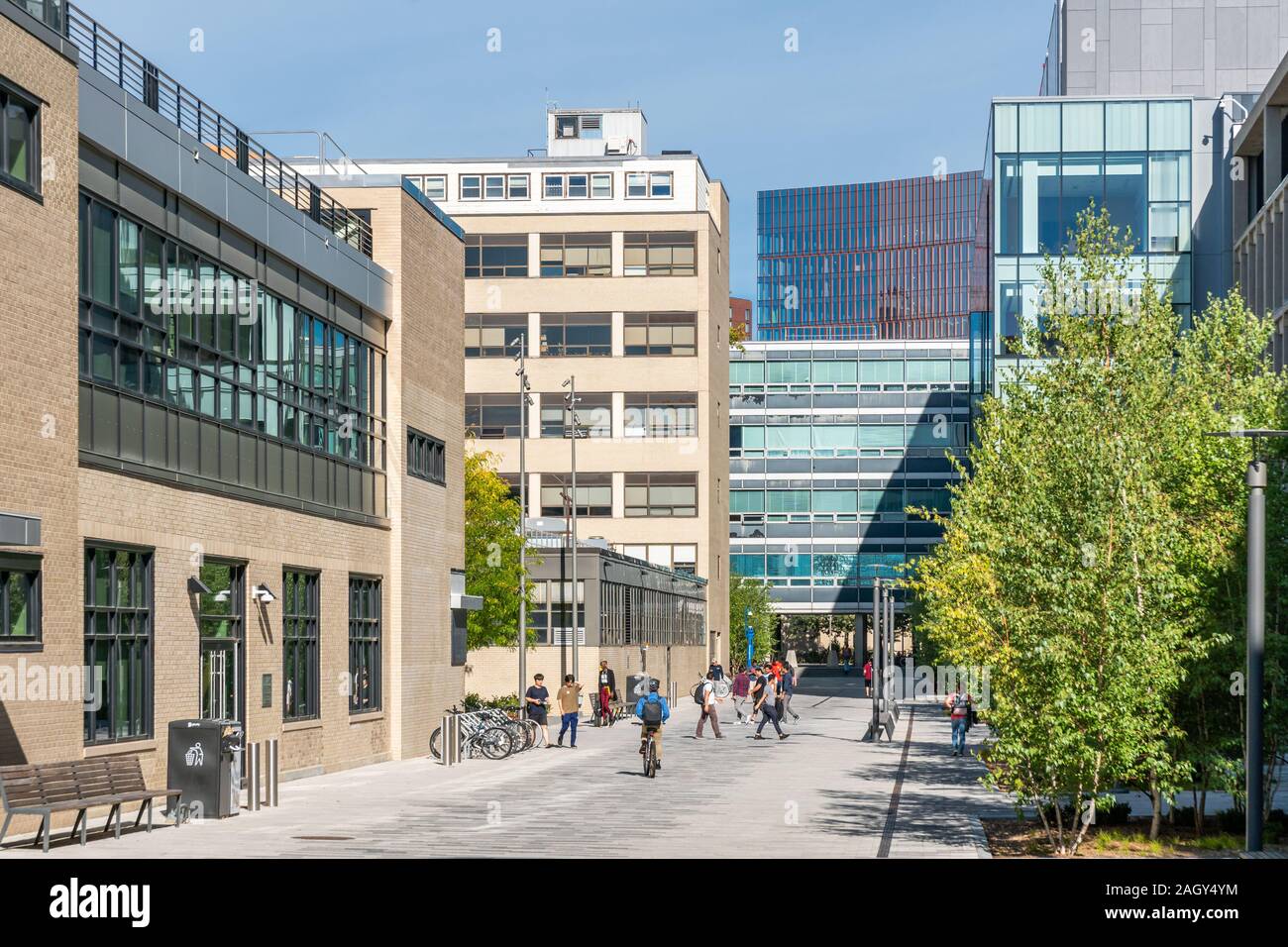 Mit campus hi-res stock photography and images - Alamy