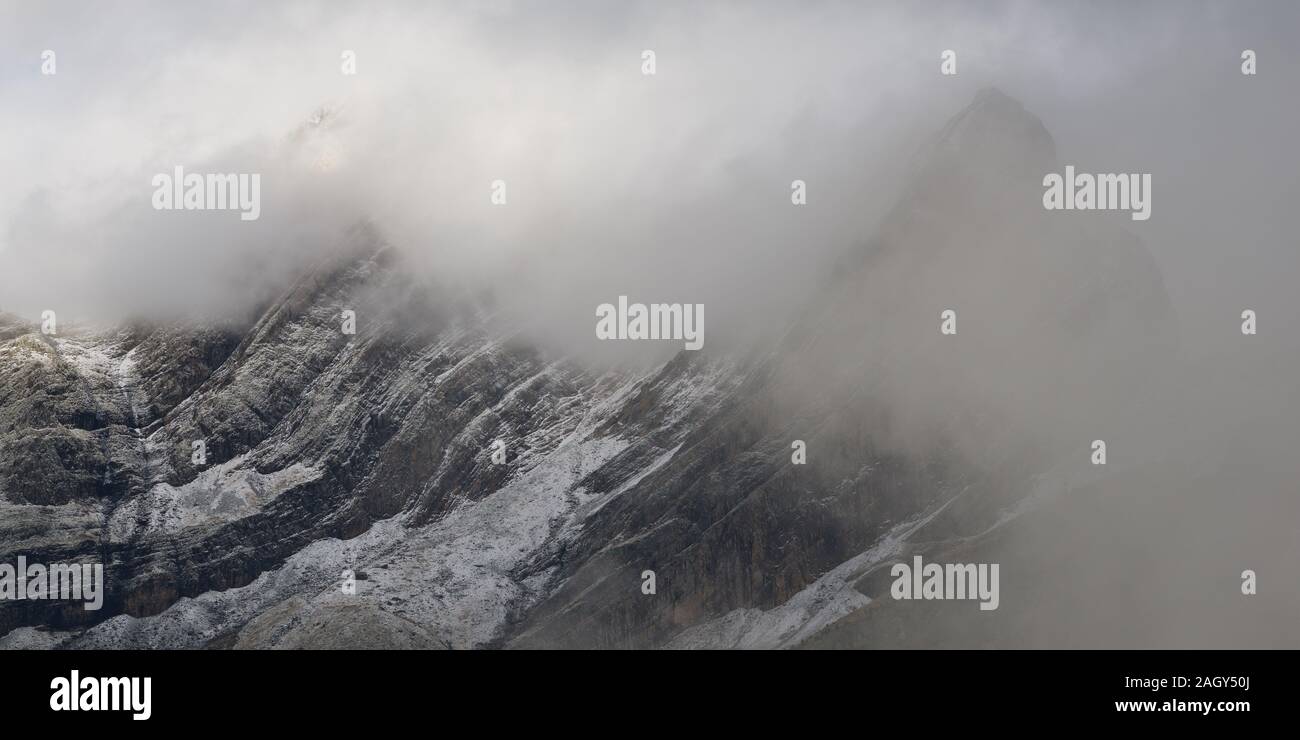 Dramatic Morning conditions in the Pineta Valleuy Stock Photo - Alamy