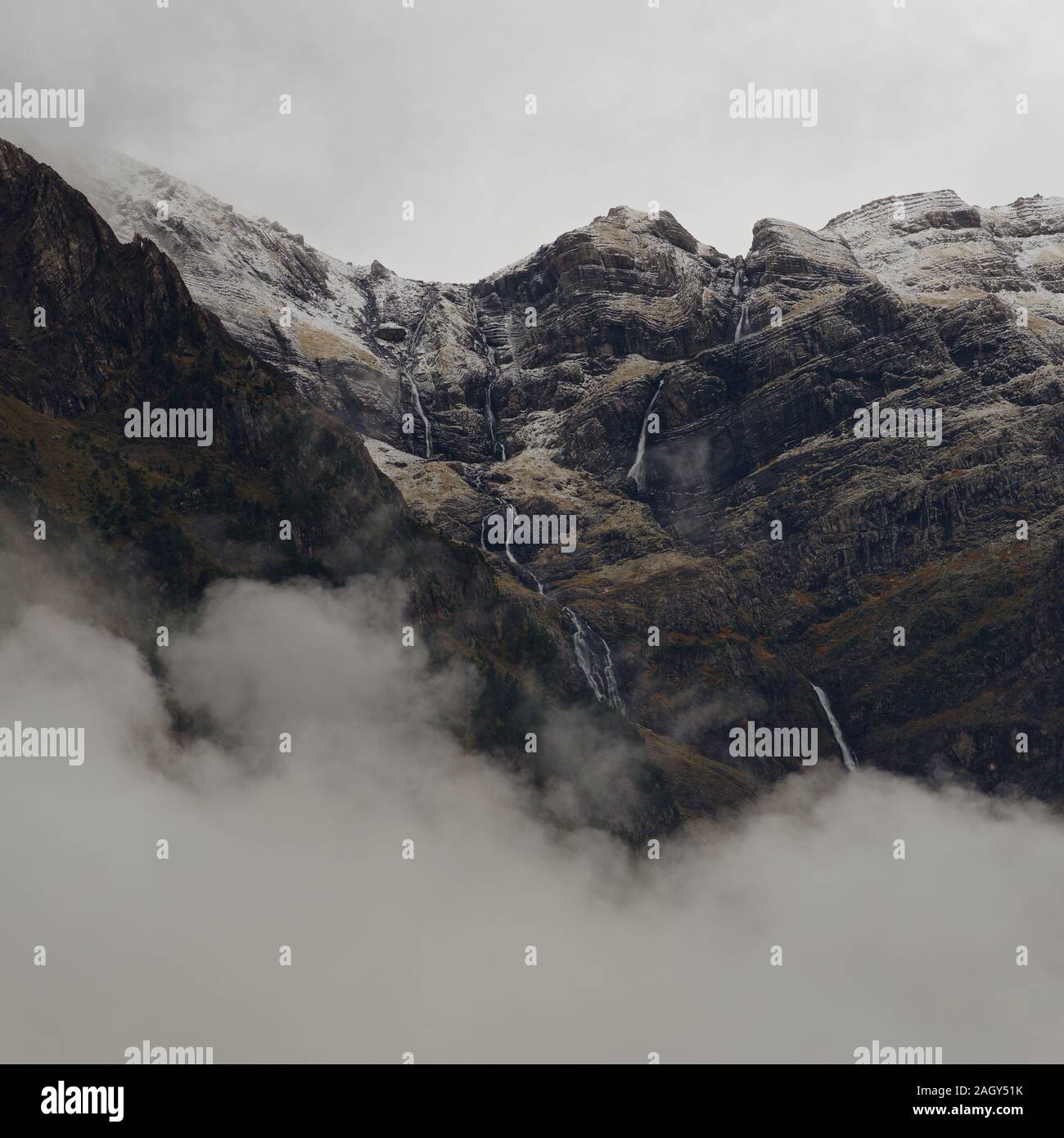 Dramatic Morning conditions in the Pineta Valleuy Stock Photo - Alamy