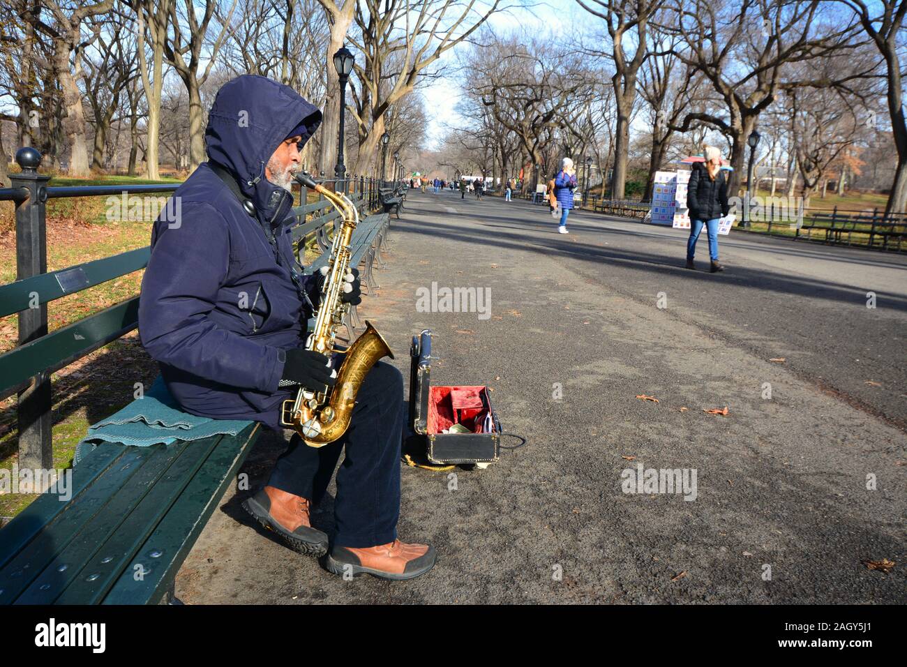 Busker in Central Park,New York City Stock Photo - Alamy