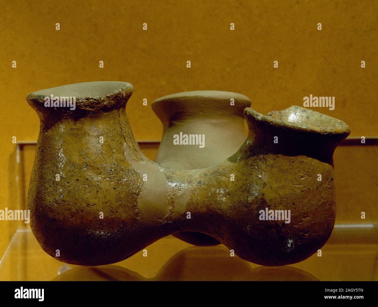 Small piriform hi-res stock photography and images - Alamy