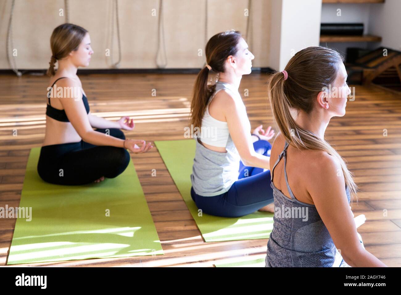 Yoga Class, Group of People Relaxing and Doing Yoga pose Stock Photo ...