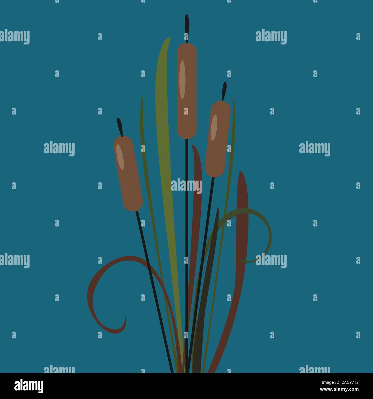 Swamp sedge Stock Vector Images - Alamy