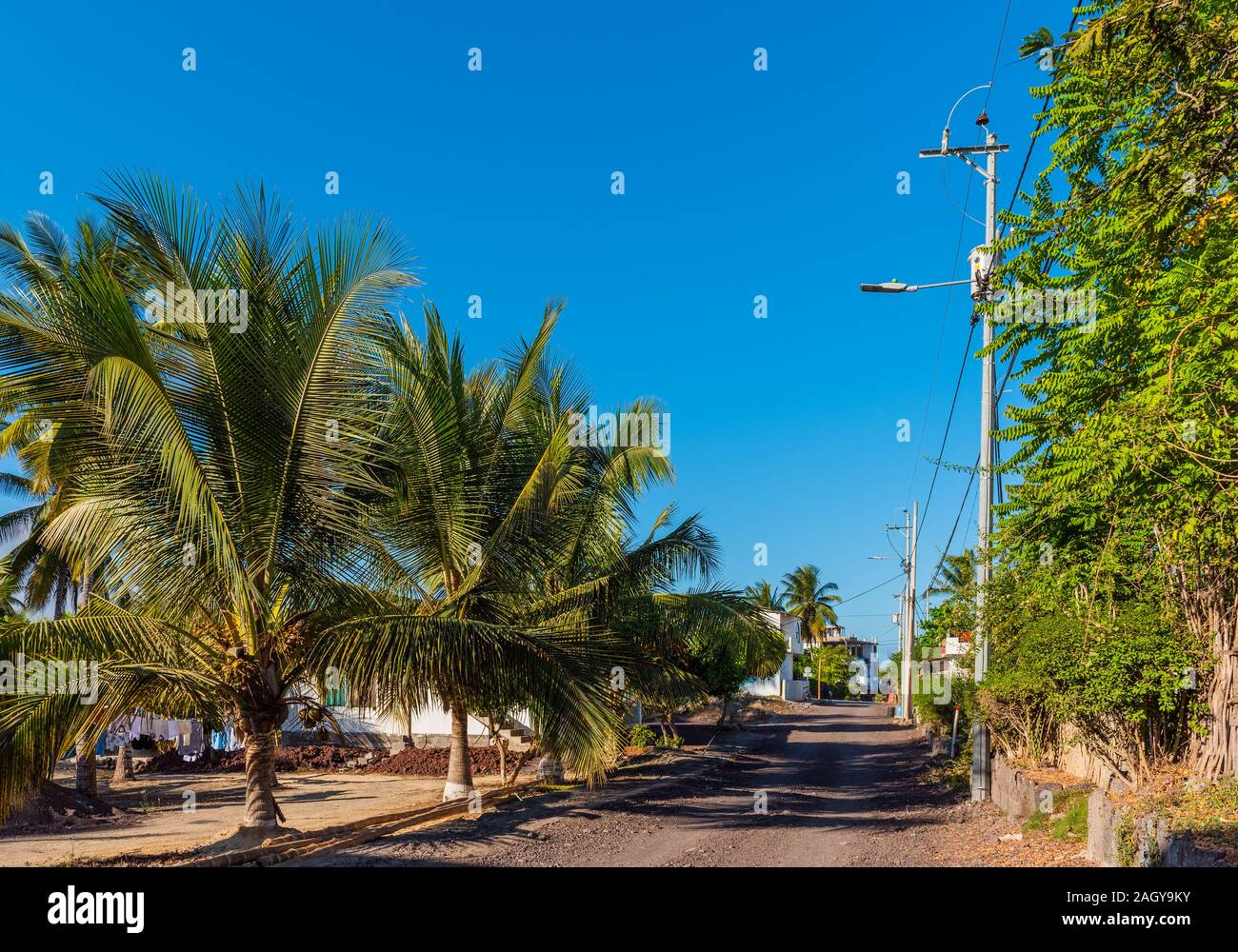 Isla isabela background hi-res stock photography and images - Alamy