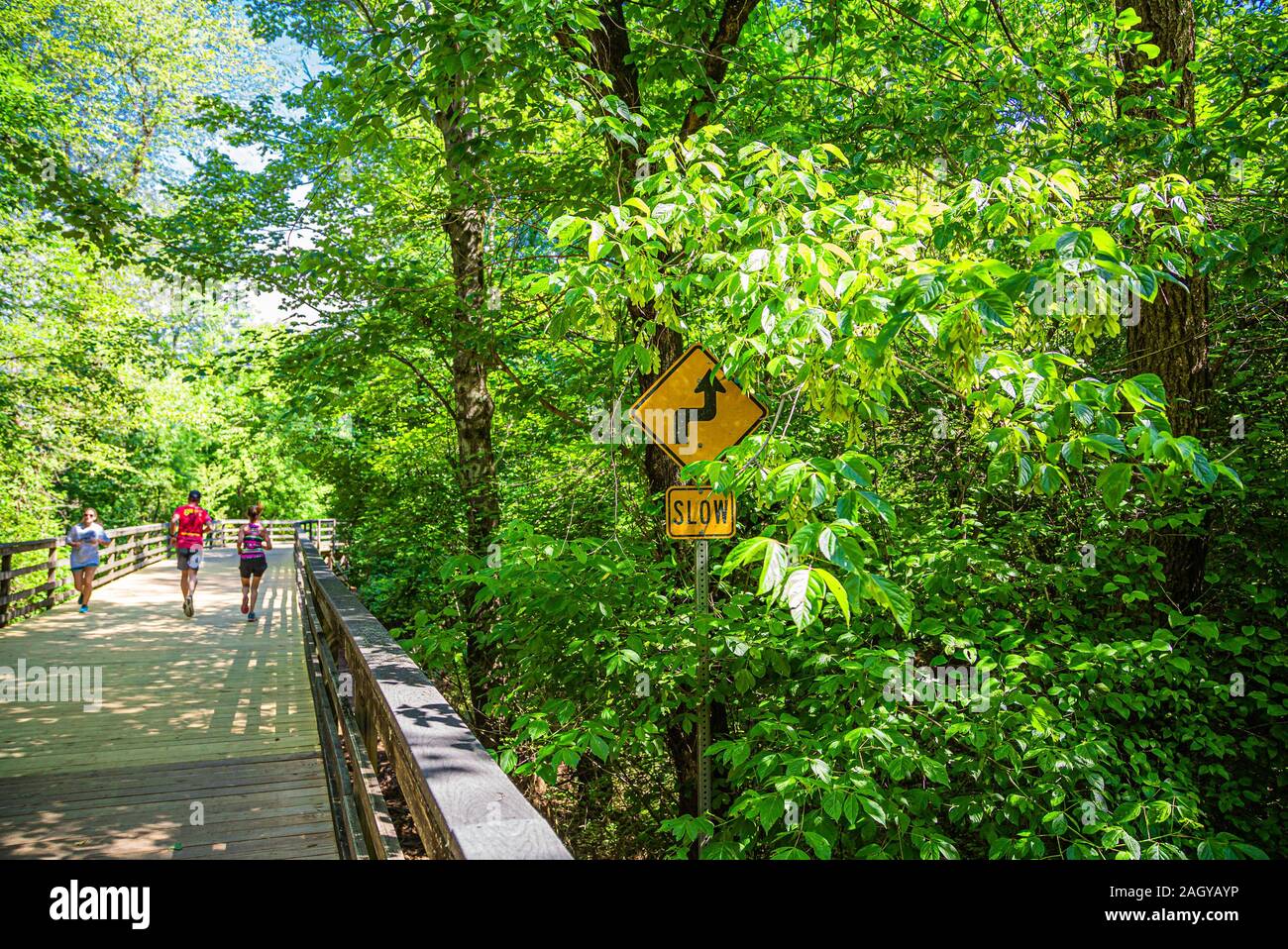 Atlanta hiking trails hi-res stock photography and images - Alamy