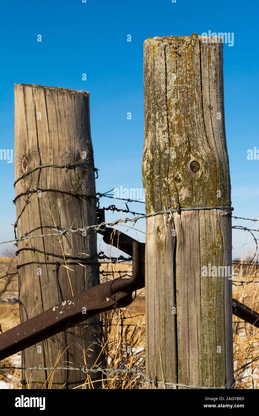 Old Wooden Fence Post