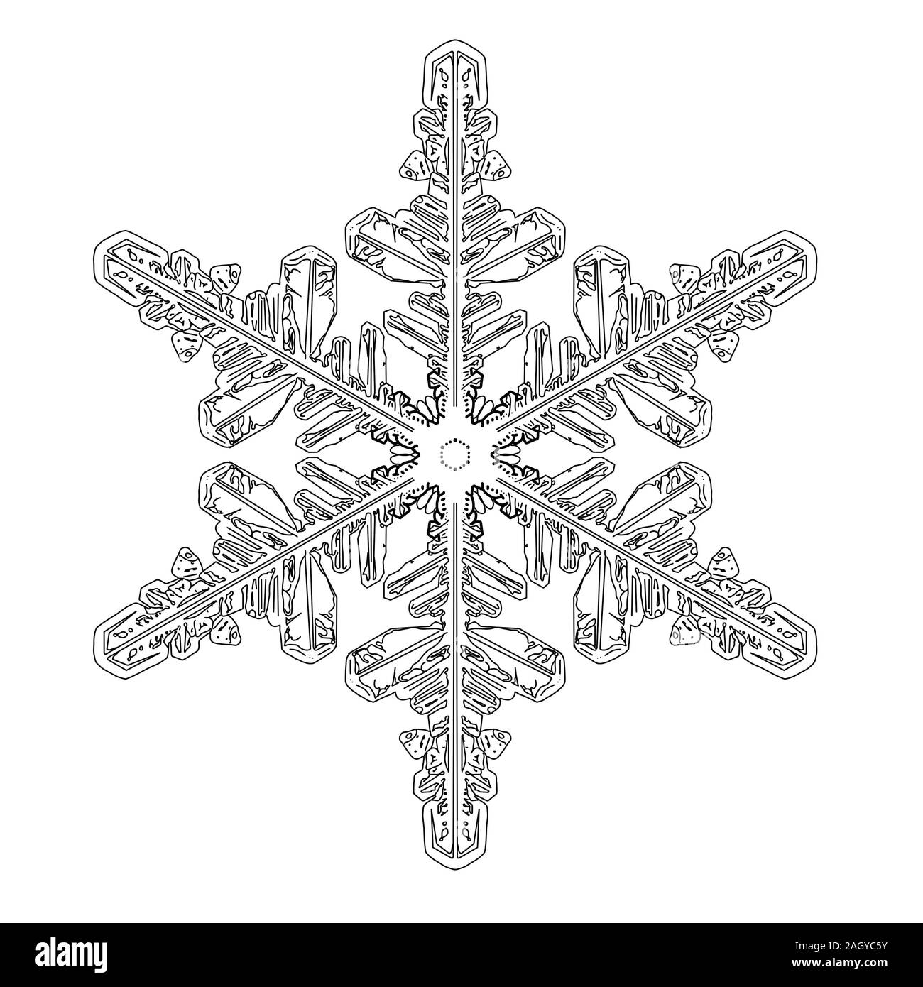 One snowflake on a white background, illustration Stock Photo - Alamy