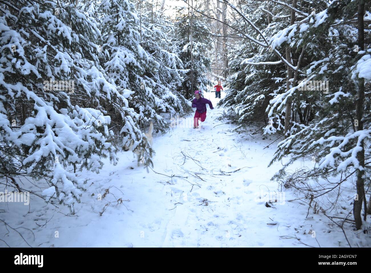 Children playing in the woods hi-res stock photography and images - Alamy