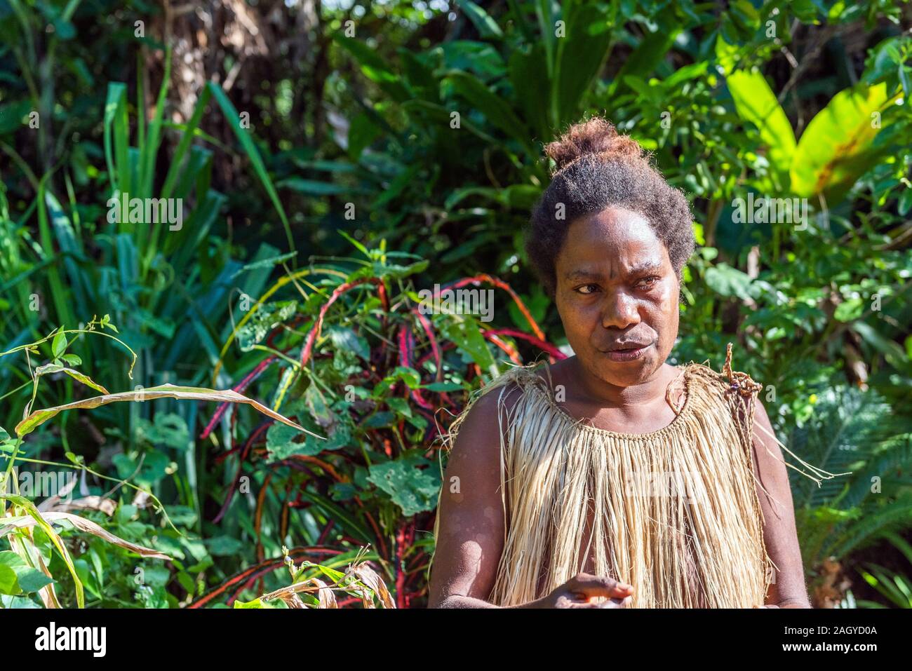 Yakel Village Tanna Island Vanuatu High Resolution Stock Photography ...
