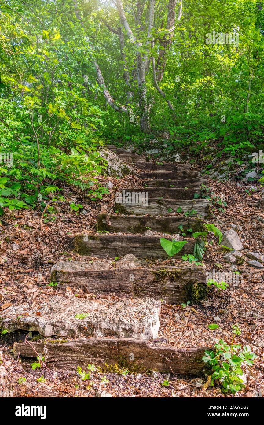 Weathered stairs on trail hi-res stock photography and images - Alamy