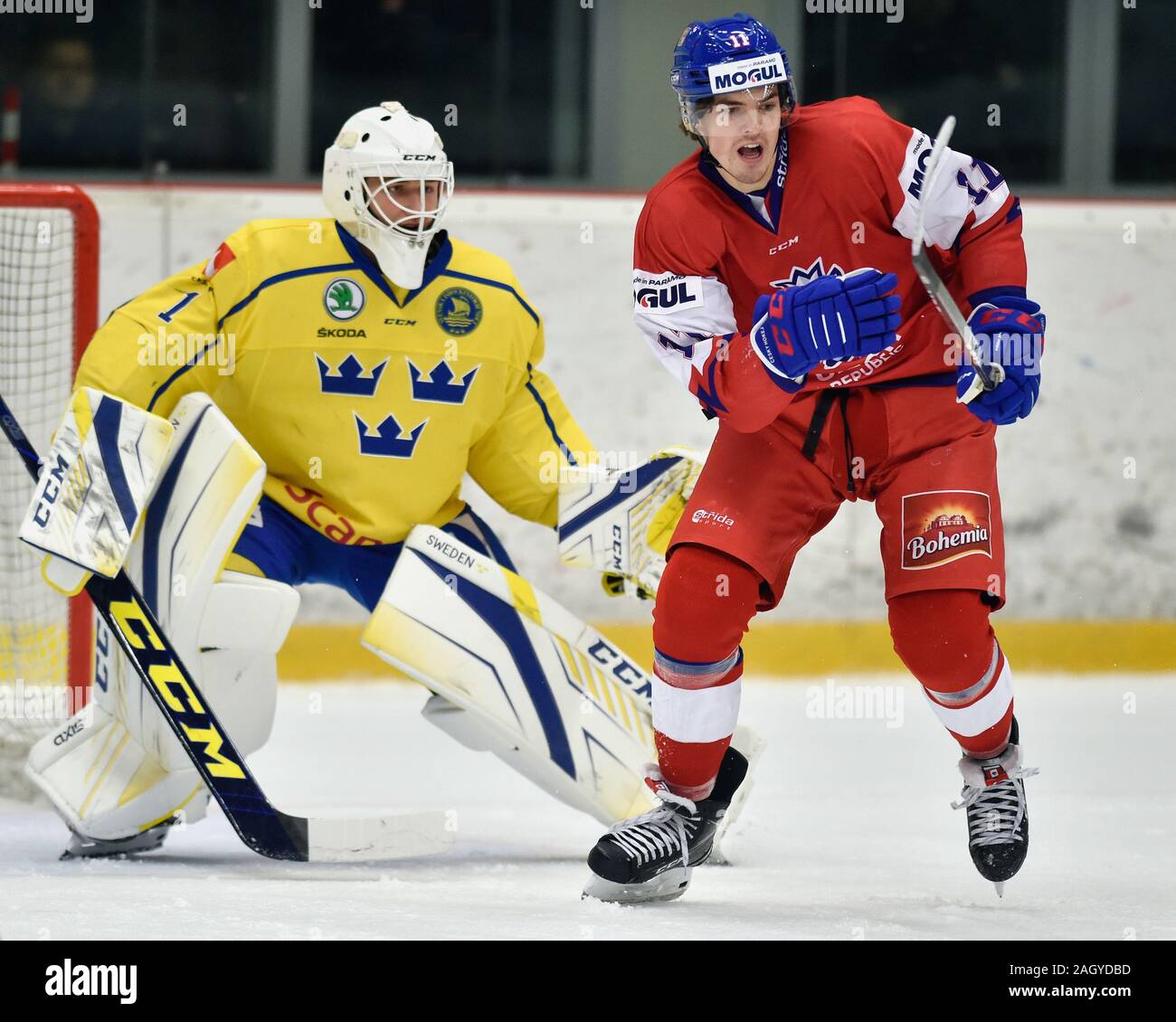 Frydek Mistek, Czech Republic. 20th Dec, 2019. L-R Goalkeeper Jesper Eliasson (SWE) and Michal ...