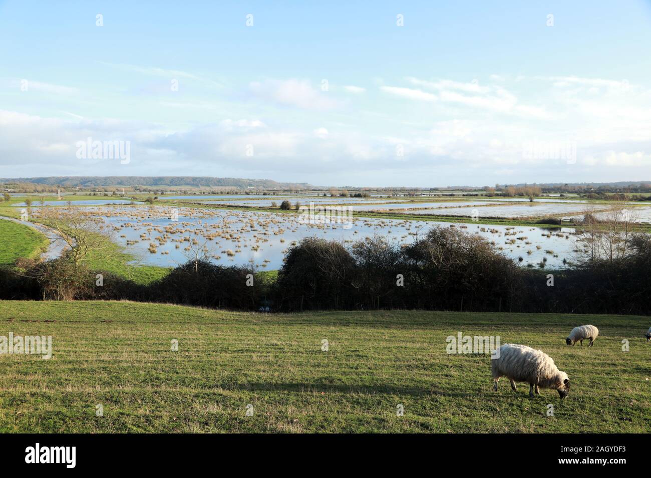 Somerset Levels, Somerset, UK, 22nd December 2019: Hundreds of acres of ...