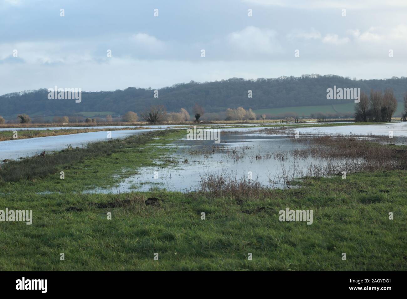 Somerset Levels, Somerset, UK, 22nd December 2019: Hundreds of acres of ...