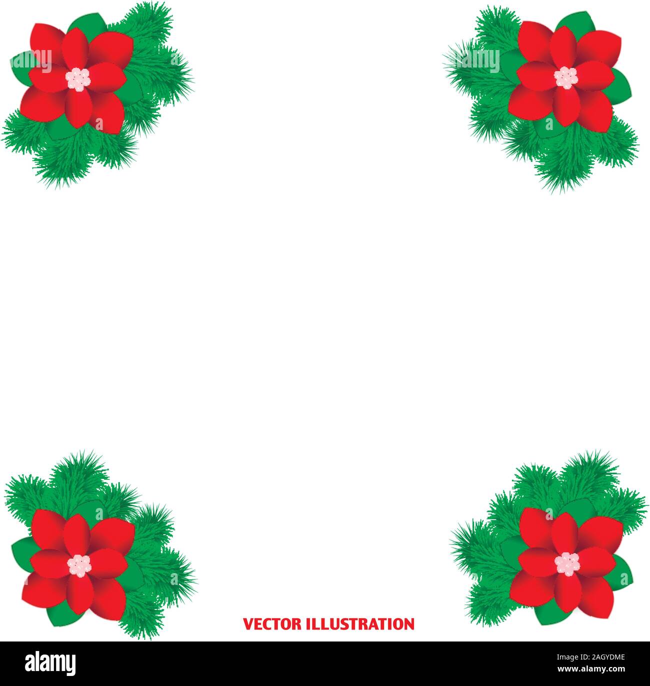 Bright Christmas background with pine and christmas flowers. Vector ...