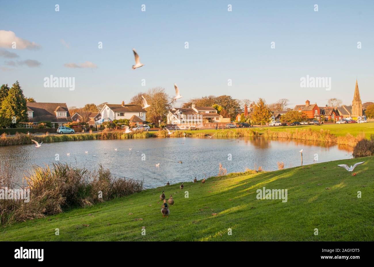 Wrea green village hi-res stock photography and images - Alamy