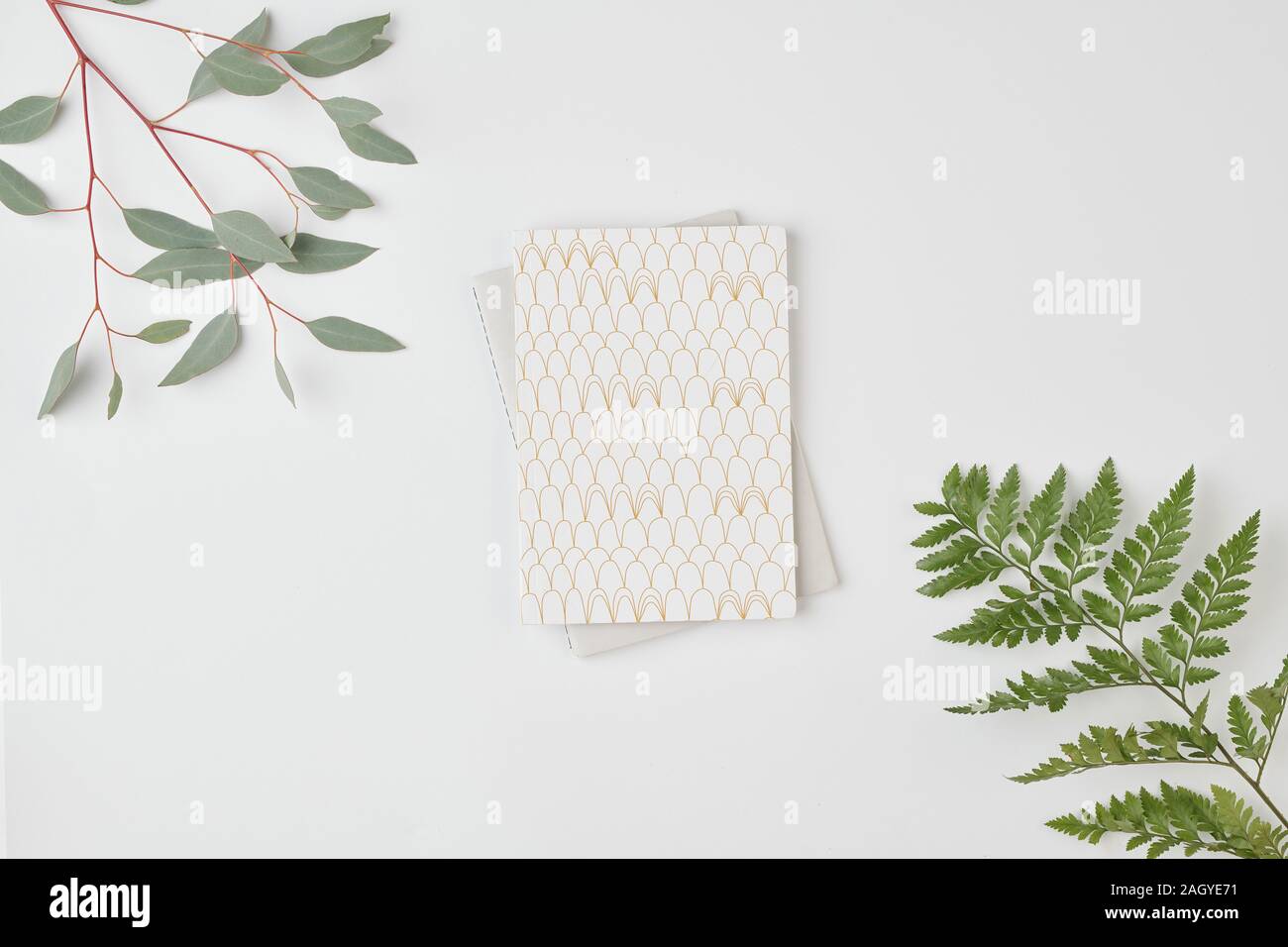 Flatlay of notebook on folded laptop and green leaves against white ...