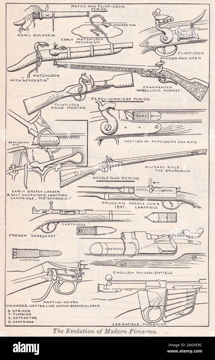 The Evolution of Modern Firearms - Illustration 1930s Stock Photo - Alamy
