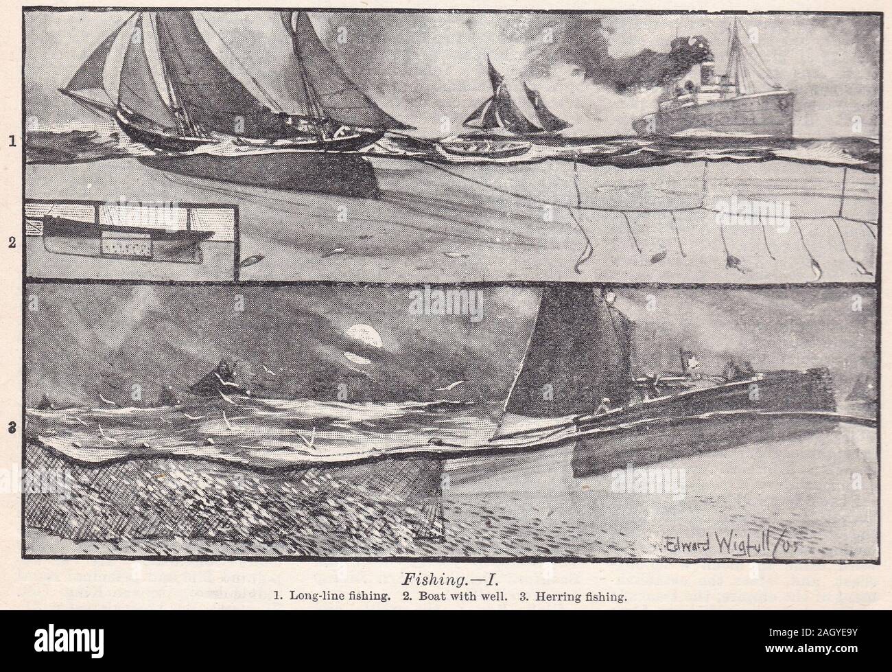 Fishing - Long-Line / Boat with Well / Herring Fishing - 1930s ...