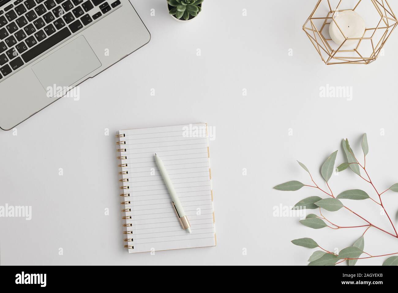Notebook with pen, candle, domestic plant, branch with green leaves and ...