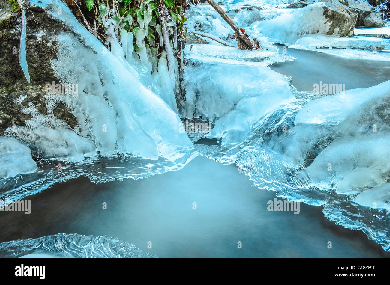 Detail of frozen brook - frozen Ivy leaves, stones, icicles and milky ...