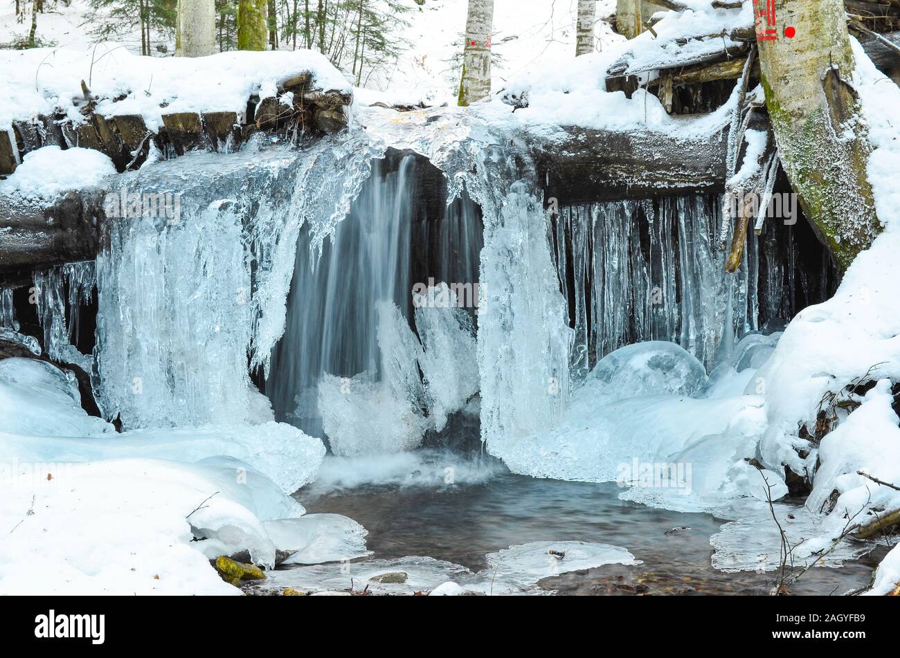 Detail of frozen brook - waterfall, log, lot of icicles, beech tre and ...