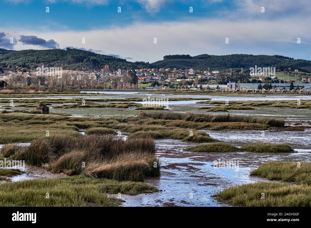 Marsh of the estuary of the Ason river with the Bosch factory and the ...