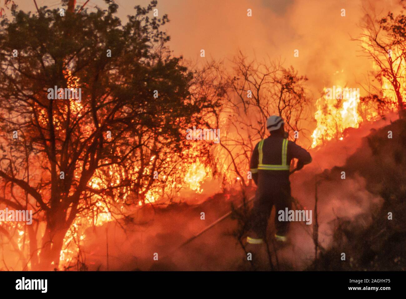 Fuego forestal hi-res stock photography and images - Alamy
