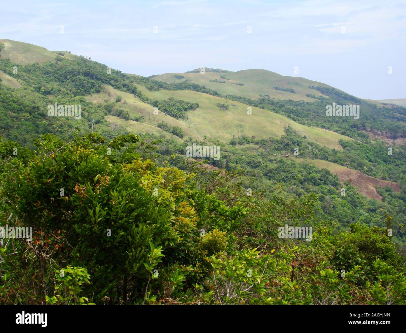 Hills in Mindoro island (The Philippines), showing signs of excessive ...