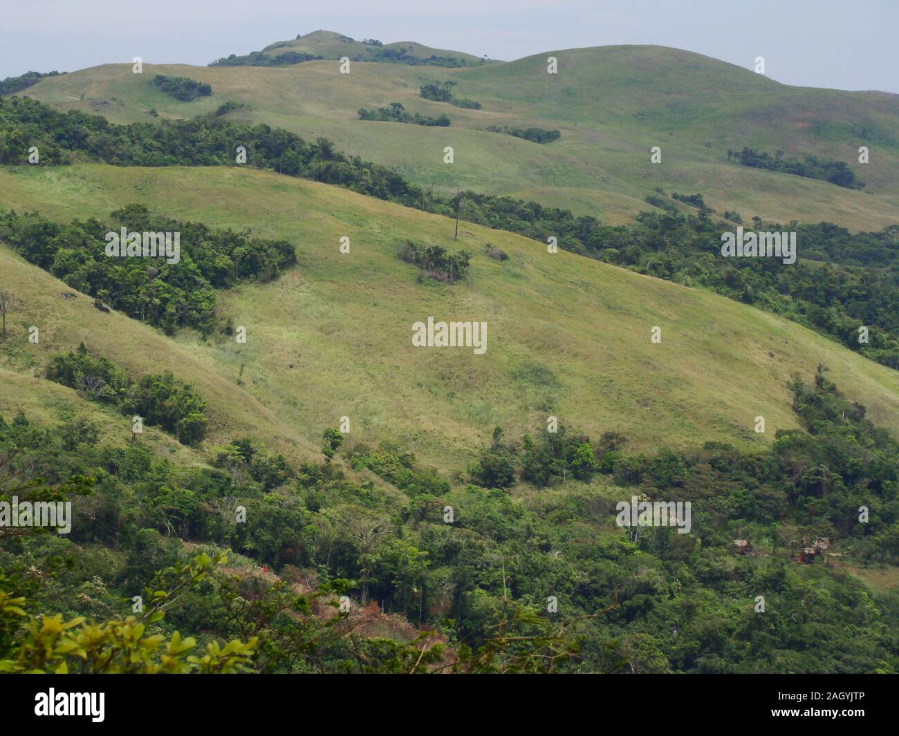 Hills in Mindoro island (The Philippines), showing signs of excessive ...