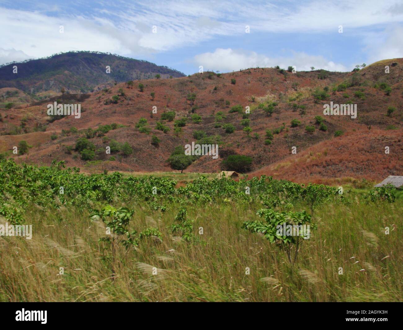 Hills in Mindoro island (The Philippines), showing signs of excessive ...