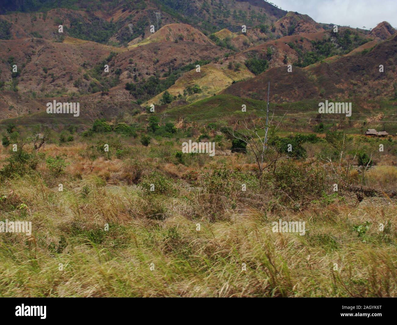 Deforestation forest fragmentation hi-res stock photography and images ...