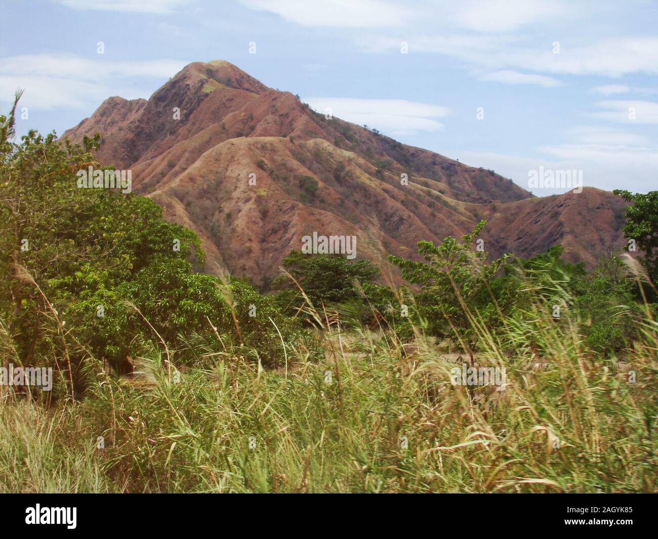 Hills in Mindoro island (The Philippines), showing signs of excessive ...