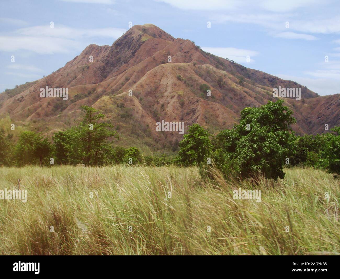 Hills in Mindoro island (The Philippines), showing signs of excessive ...