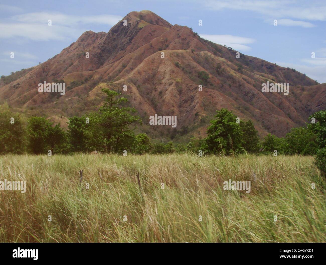 Hills in Mindoro island (The Philippines), showing signs of excessive ...