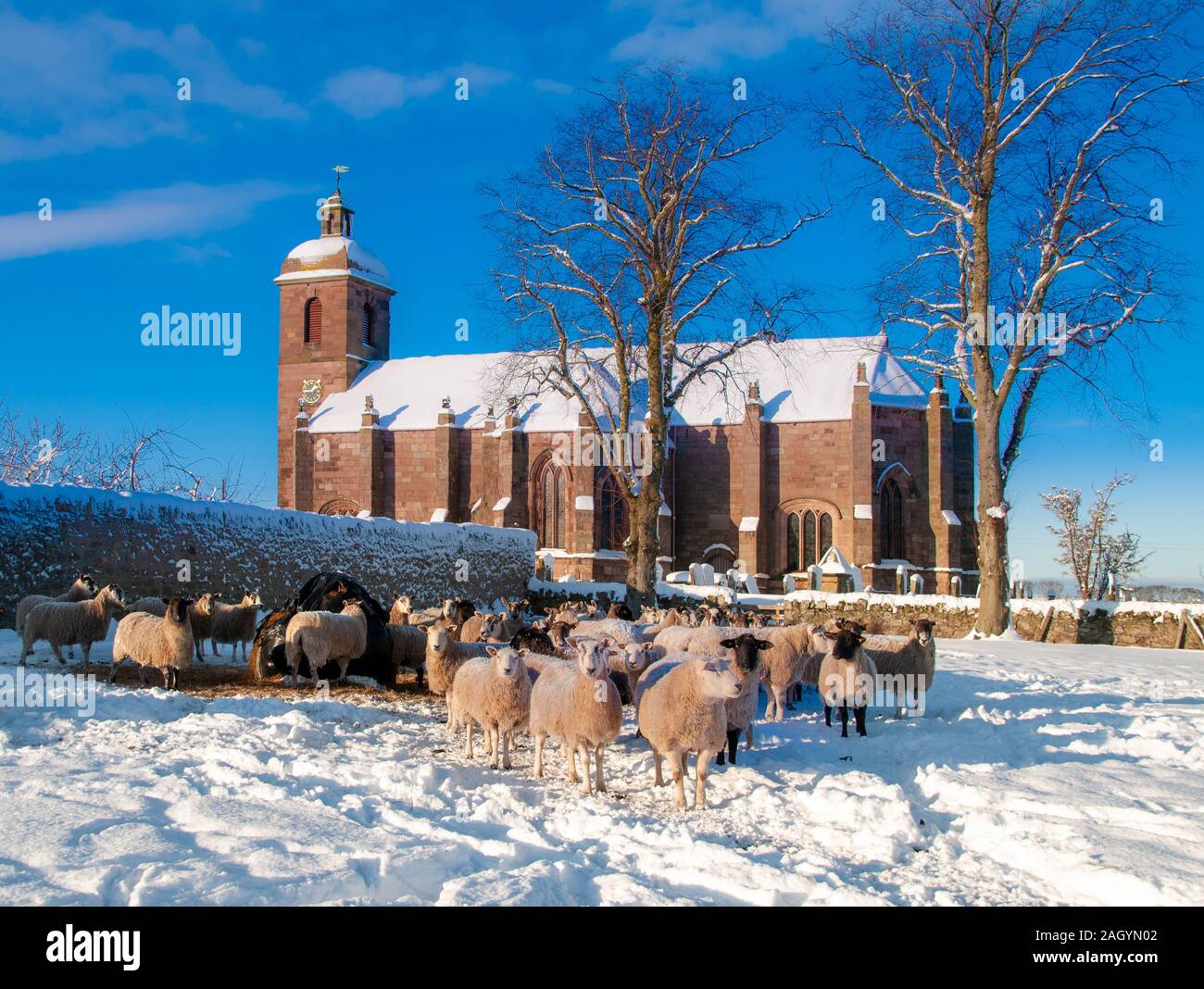 Ladykirk built on the orders of James IV of Scotland to be safe from ...