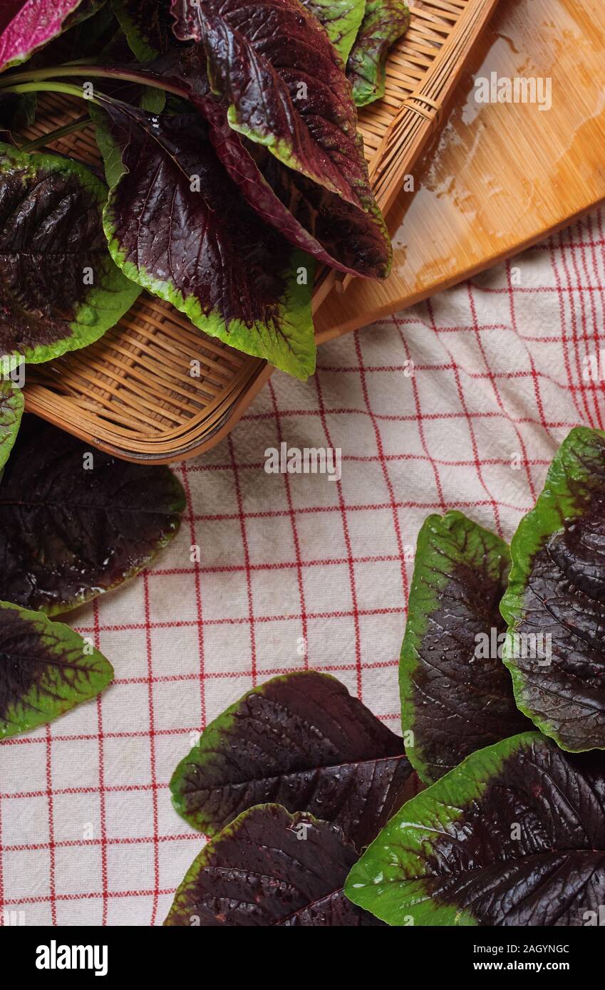 Fresh amaranth leaves white preparation for cook Stock Photo - Alamy