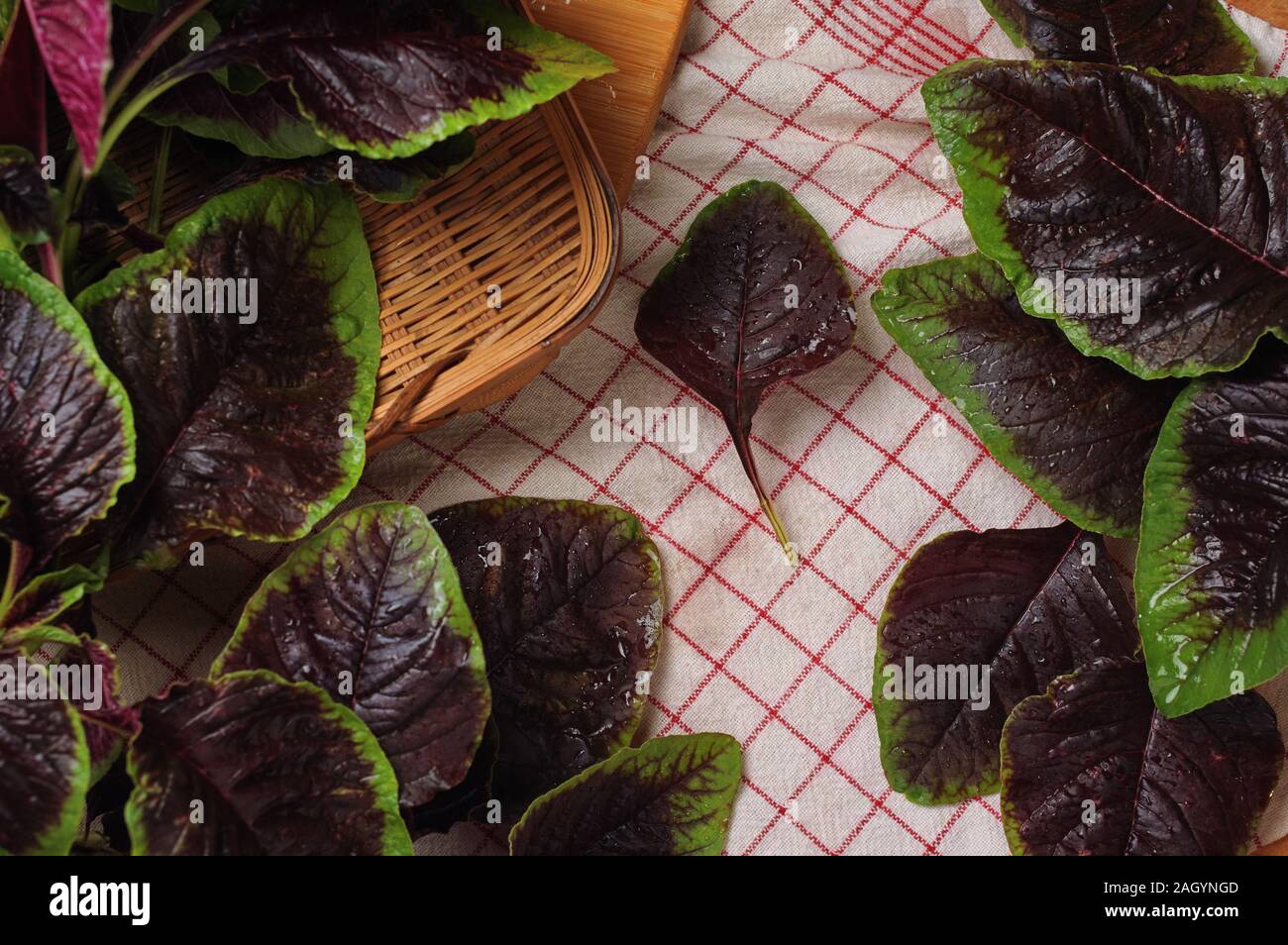 Amaranth red hi-res stock photography and images - Alamy