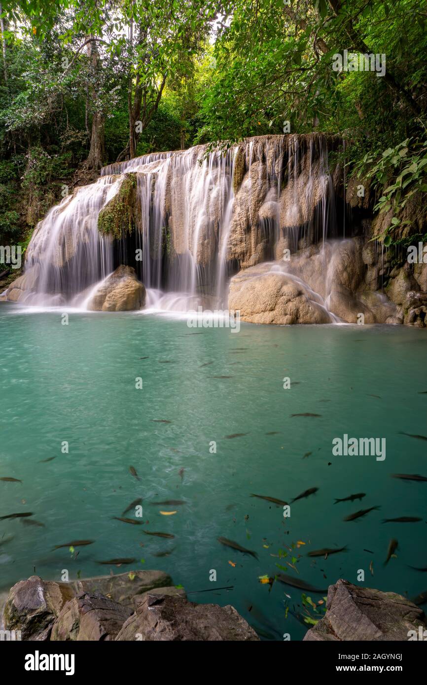 Clean green emerald water from the waterfall Surrounded by small trees ...